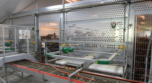 FIENHAGE Aviary - Serupa