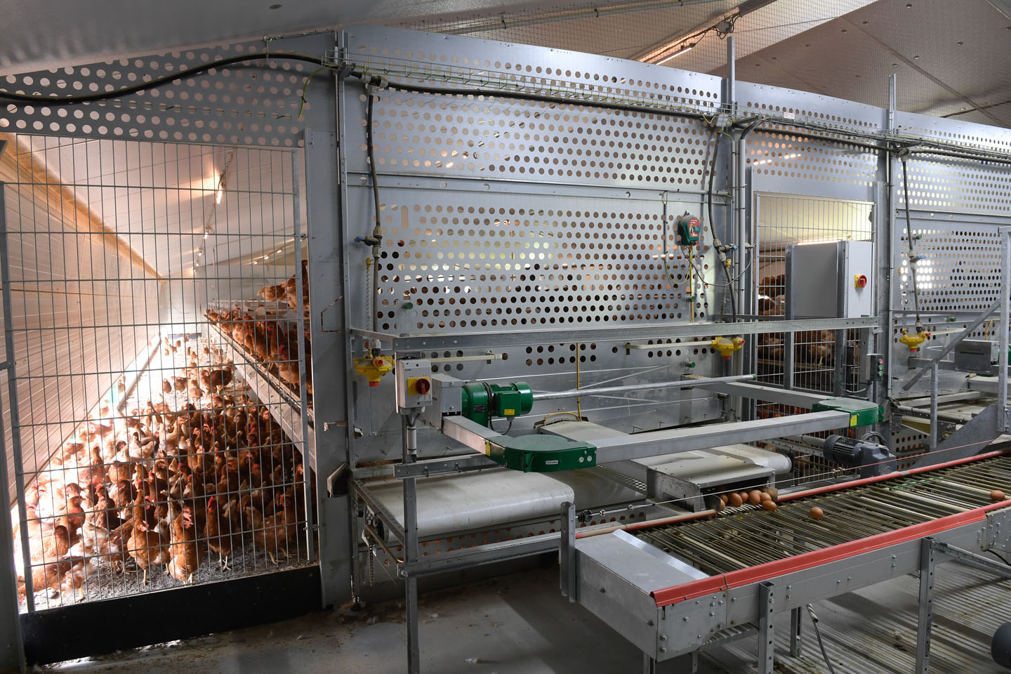 FIENHAGE Aviary - Serupa