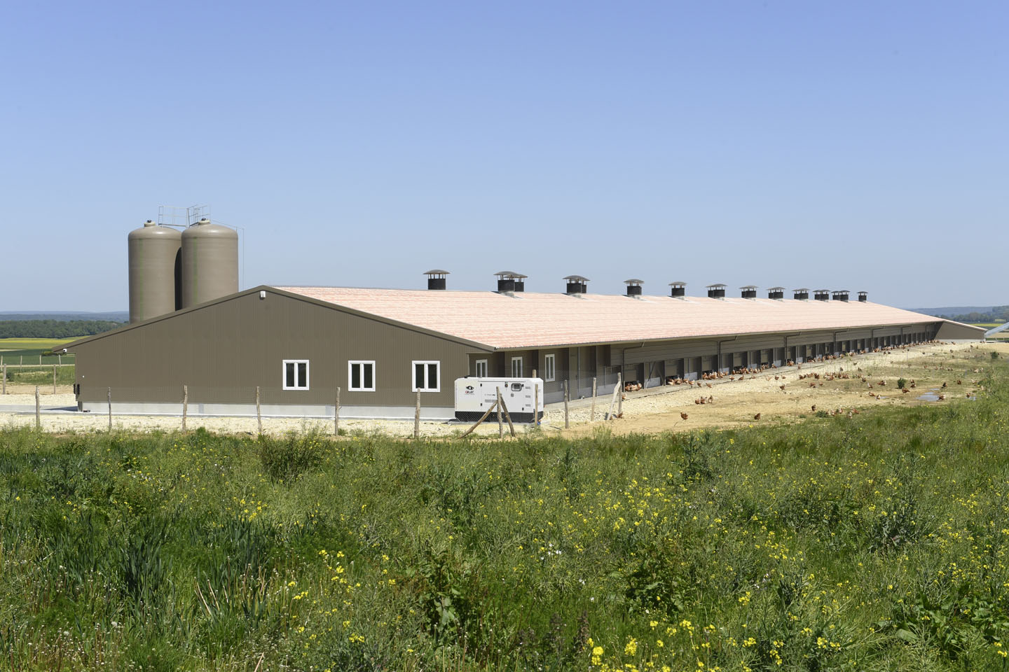 Free-range laying House - Fienhage Aviary - Serupa