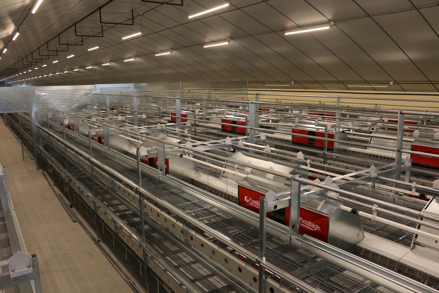 Fienhage Aviary - Serupa