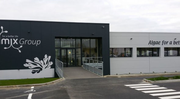 OLMIX GROUP - Serupa