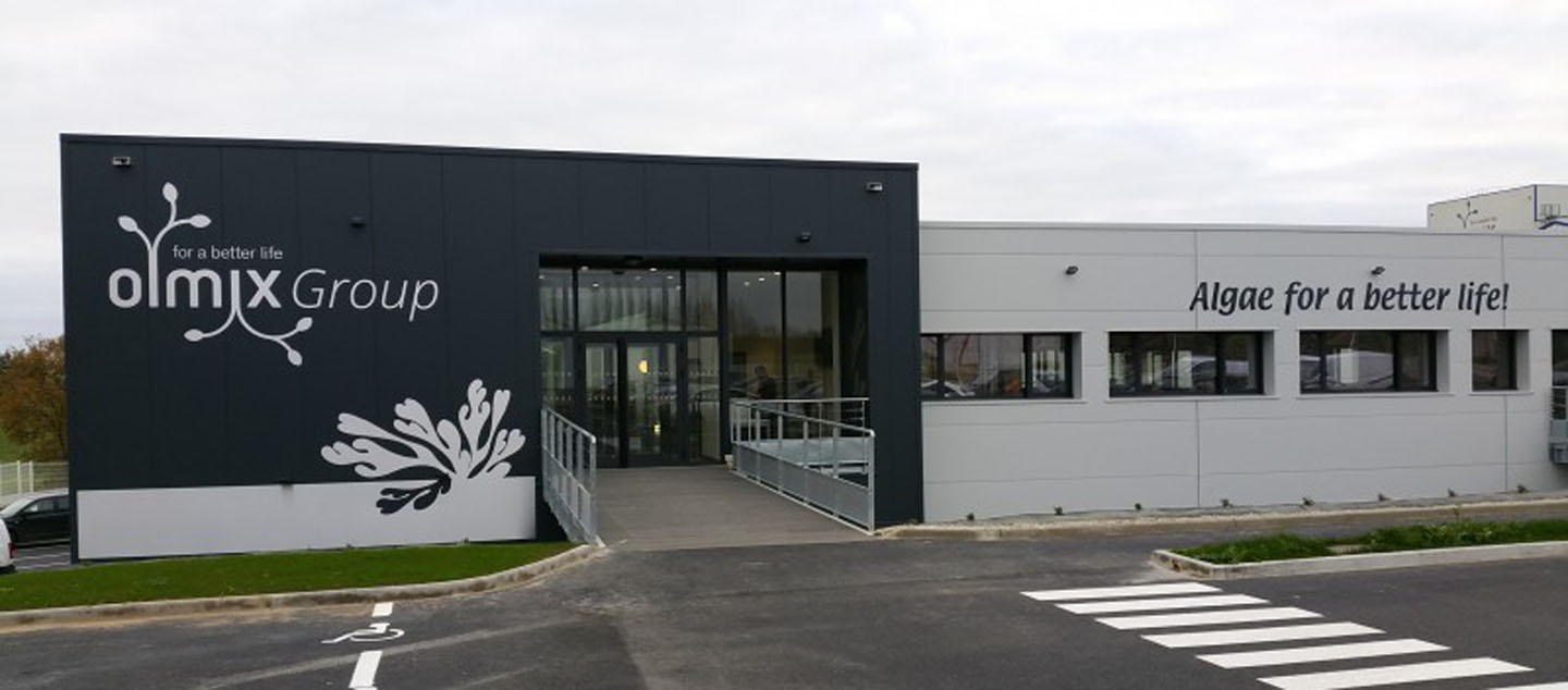 OLMIX GROUP - Serupa