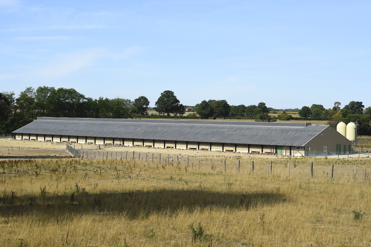 Bâtiment Avicole - Poulaillers Poules de Pontes - Serupa