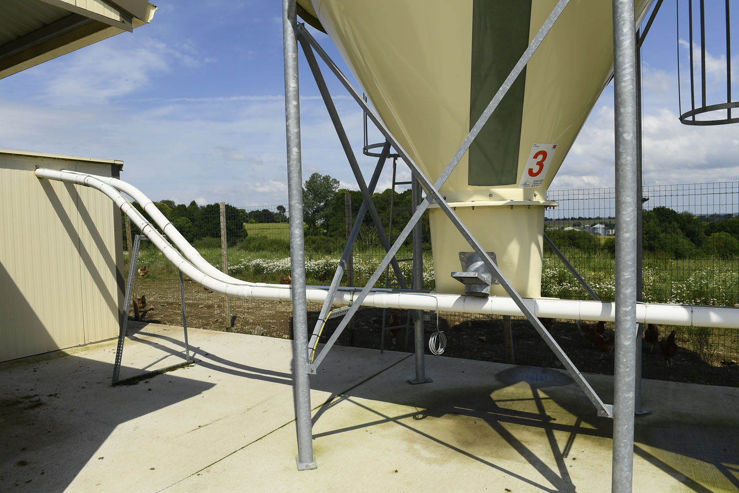 Free-range laying House - Fienhage Aviary - Serupa