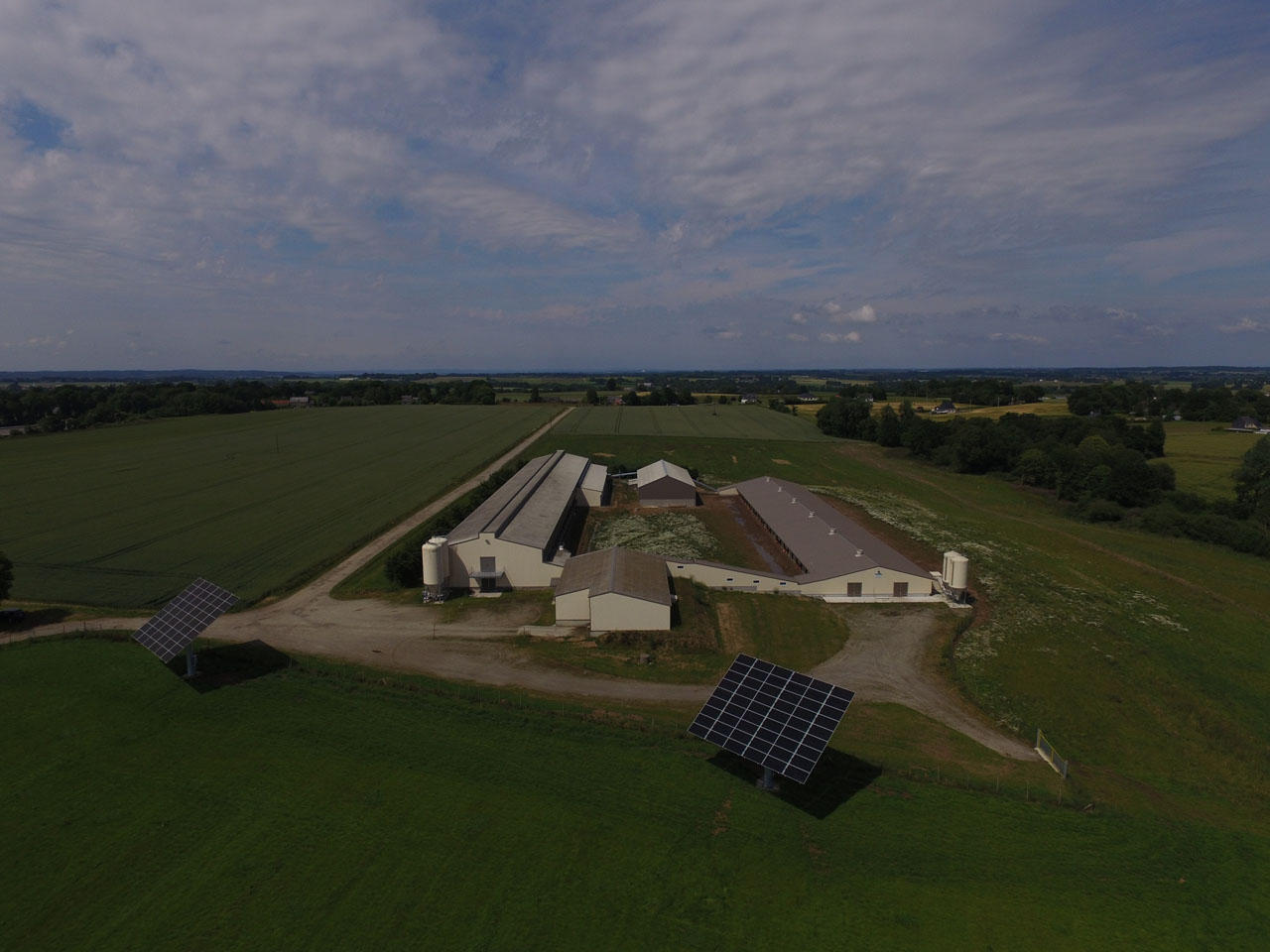 Free-range laying House - Fienhage Aviary - Serupa